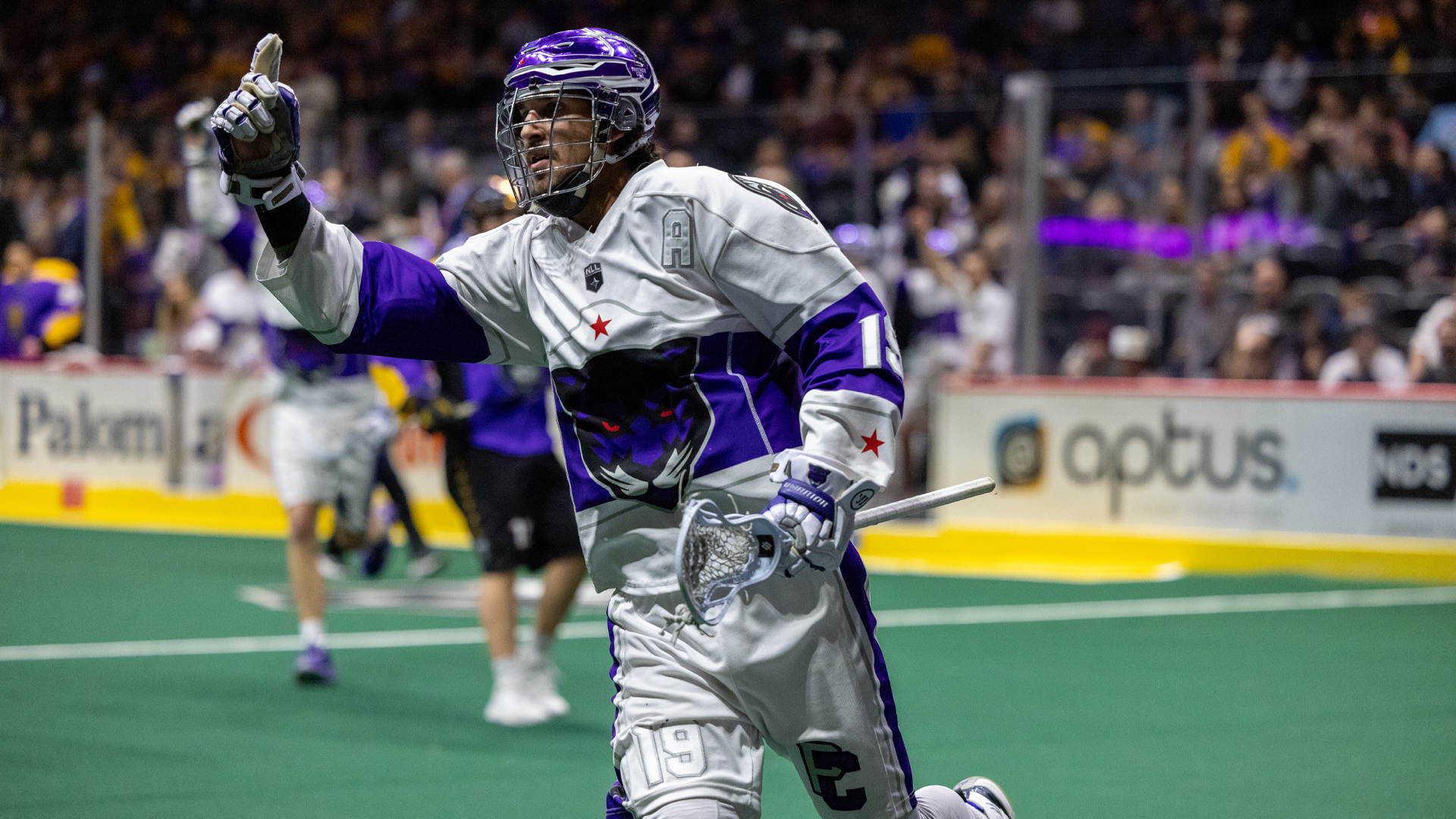 Black Bears select Caputo, Patten, and Sharkey | Ottawa Black Bears