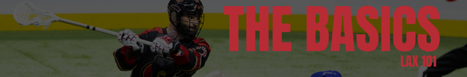 The Basics | Ottawa Black Bears